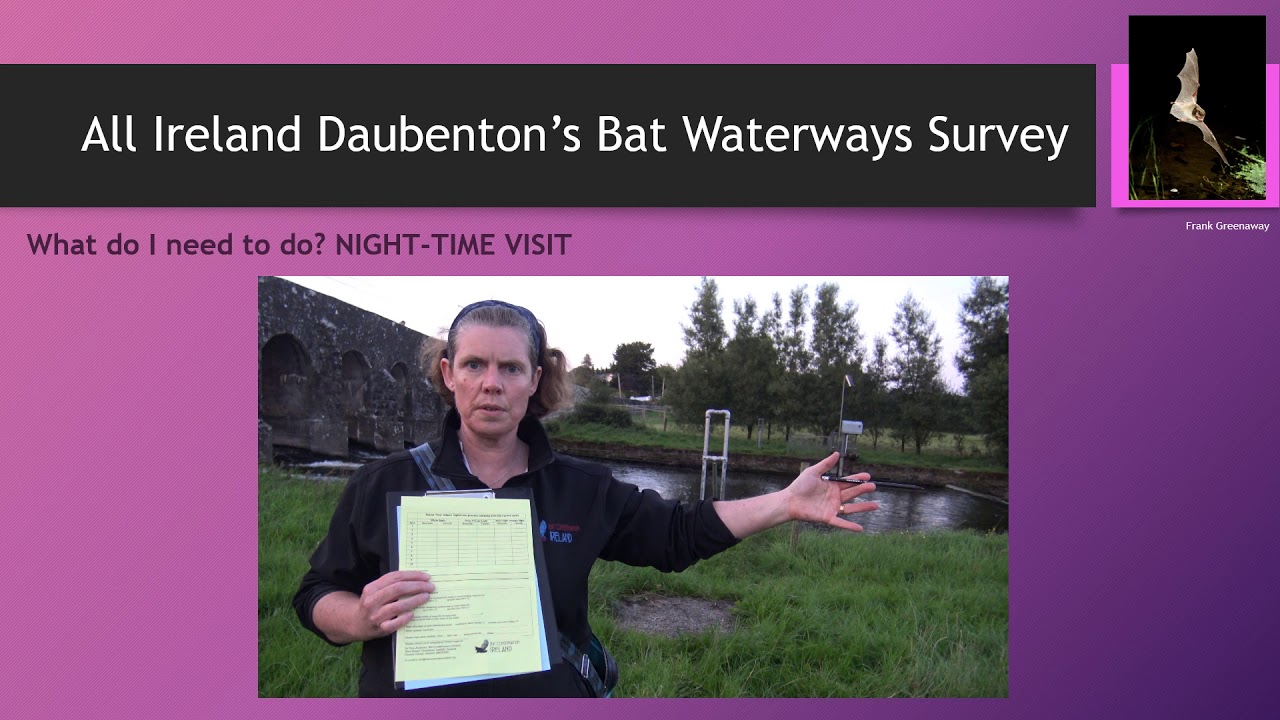 Irish Bat Monitoring Programme Video 2 Waterways Survey - YouTube