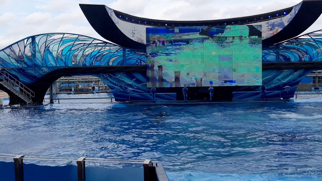 One Ocean Segment SeaWorld Orlando 8/3/2019 - YouTube