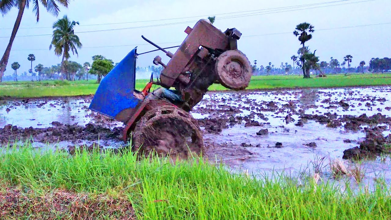 Tractor Massey 241Di Stuck In Mud Puddling Cage Wheel /Palleturi ...