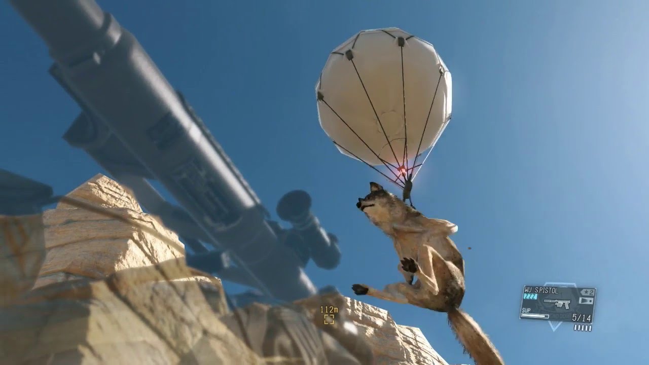 Wolf flight training 101 - YouTube