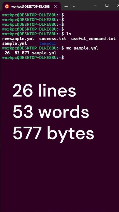 Day 12 Wc Linux Command Linux Linuxcommandline Linuxforbeginners Coding Shell Shorts 8923