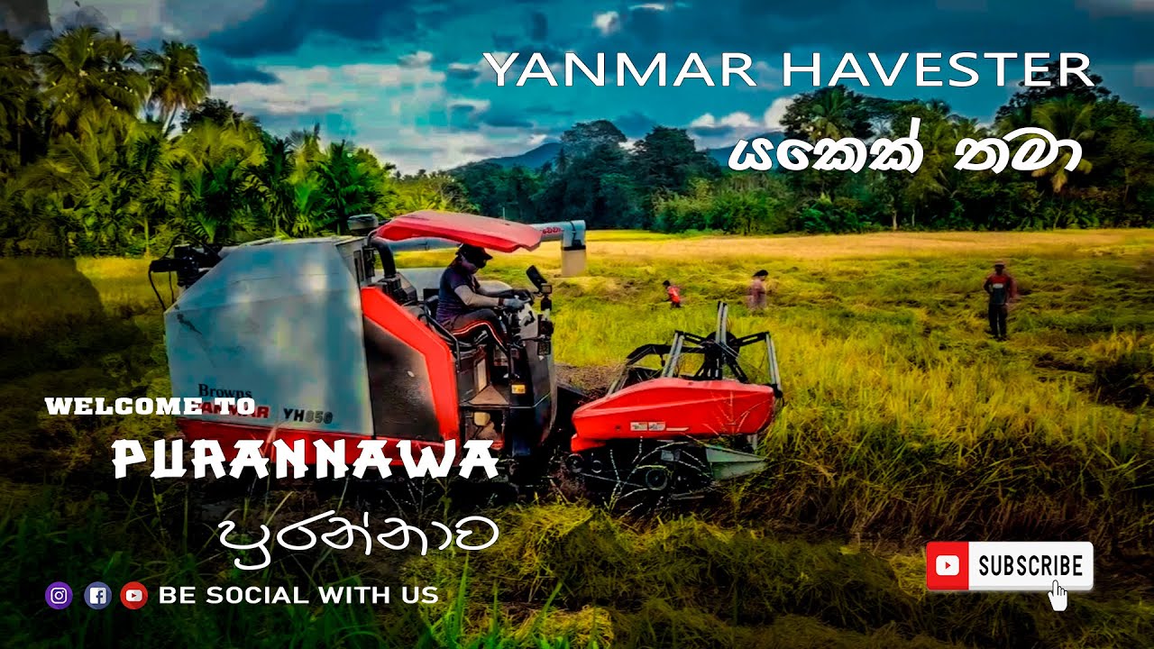 Combine Harvester | Yanmar YH850 Harvester | Agricultural Machinery ...