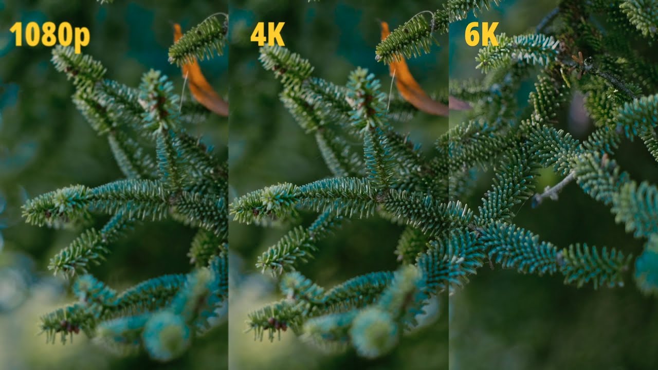 La meilleure résolution pour vos vidéos | 1080P vs 4K vs 6k - YouTube