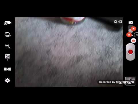 cinar ayyıldız . Bölüm 32