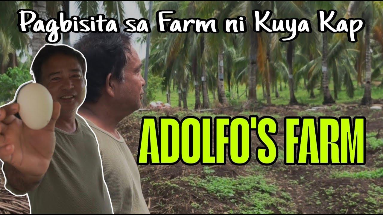 Pagbisita sa Farm ni Kuya Kap | Adolfo's Farm | Candijay Bohol - YouTube
