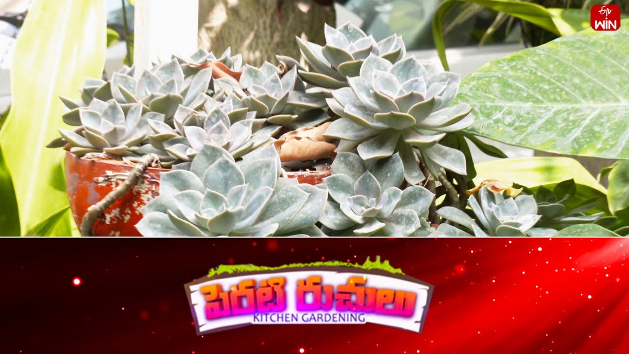 Perati Ruchulu | 13th Apr 2024 | Full Episode | ETV Abhiruchi - YouTube