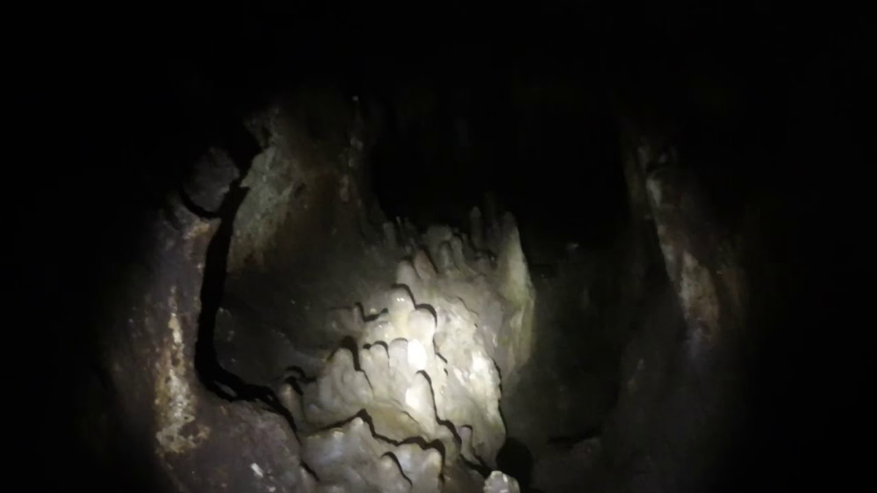 Chandelier Cave, Palau Micronesia - YouTube
