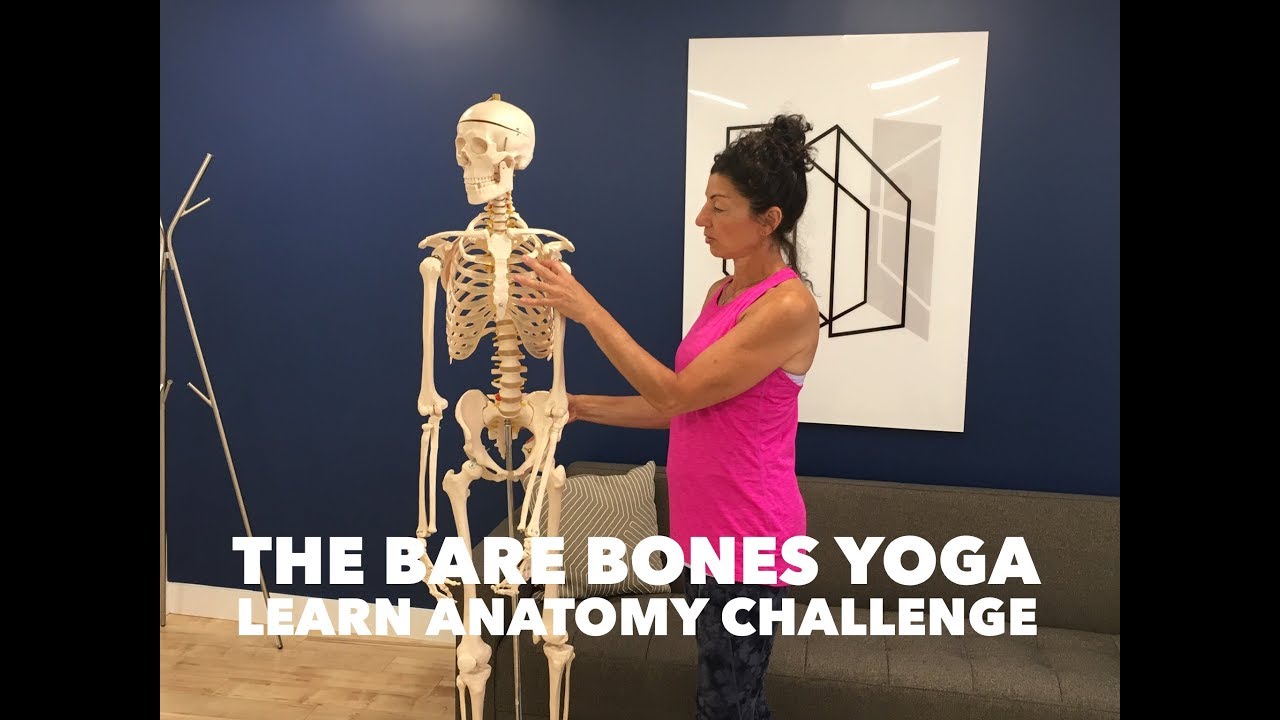 How to learn anatomy for yoga teaching: THE LEARN ANATOMY CHALLENGE ...