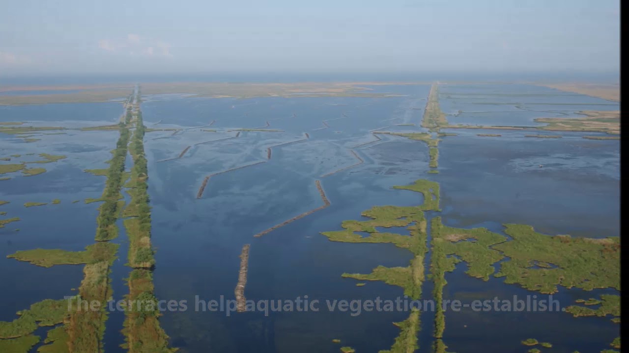 Cameron Prairie Marsh Restoration Project - YouTube