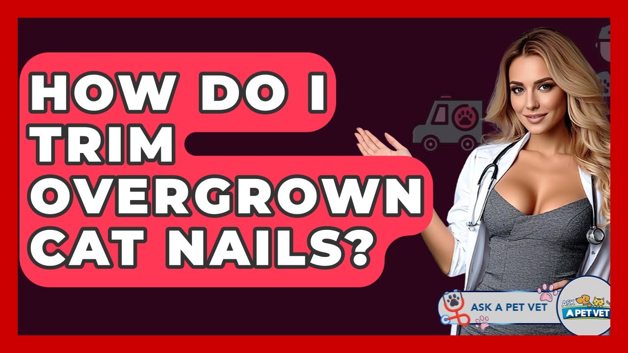 How Do I Trim Overgrown Cat Nails? - Ask A Pet Vet - YouTube