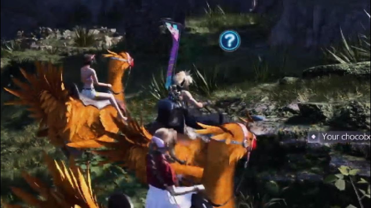 Rebirth 5x Moogle Medal Location Buried Chocobo Treasure Corel Region ...