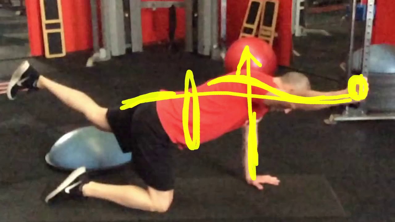 Bird Dog Exercise Regressions For Back Pain - YouTube
