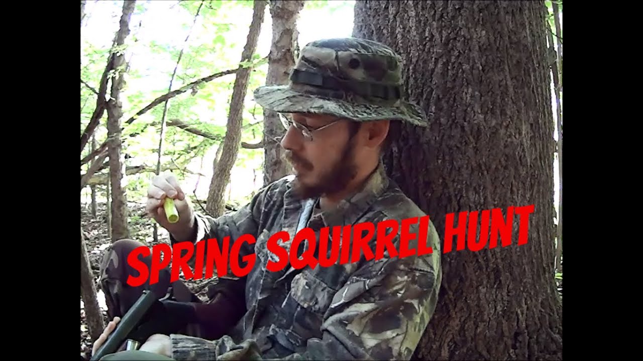 Spring Squirrel Hunting in Tennessee - YouTube
