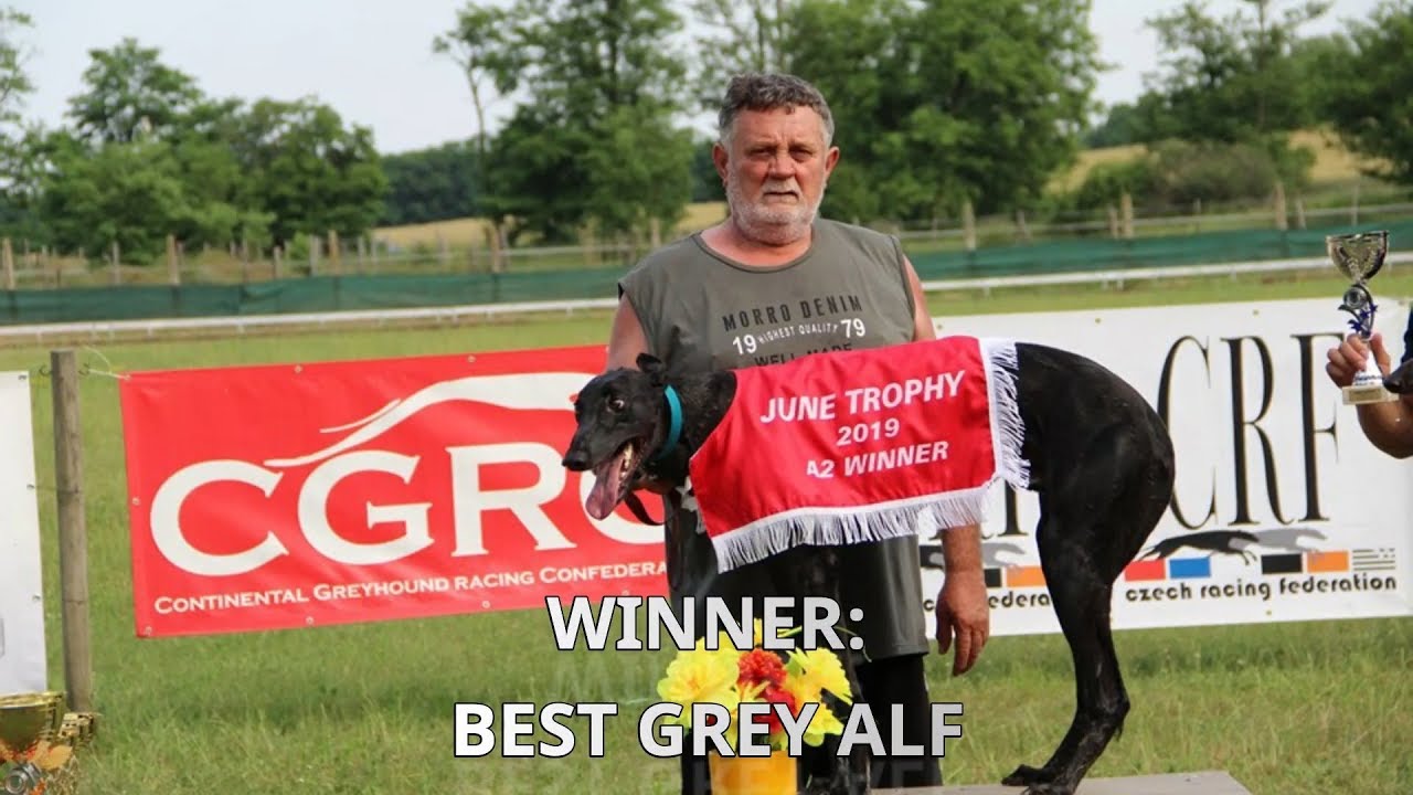 JUNE TROPHY A2 15/06/19 - YouTube