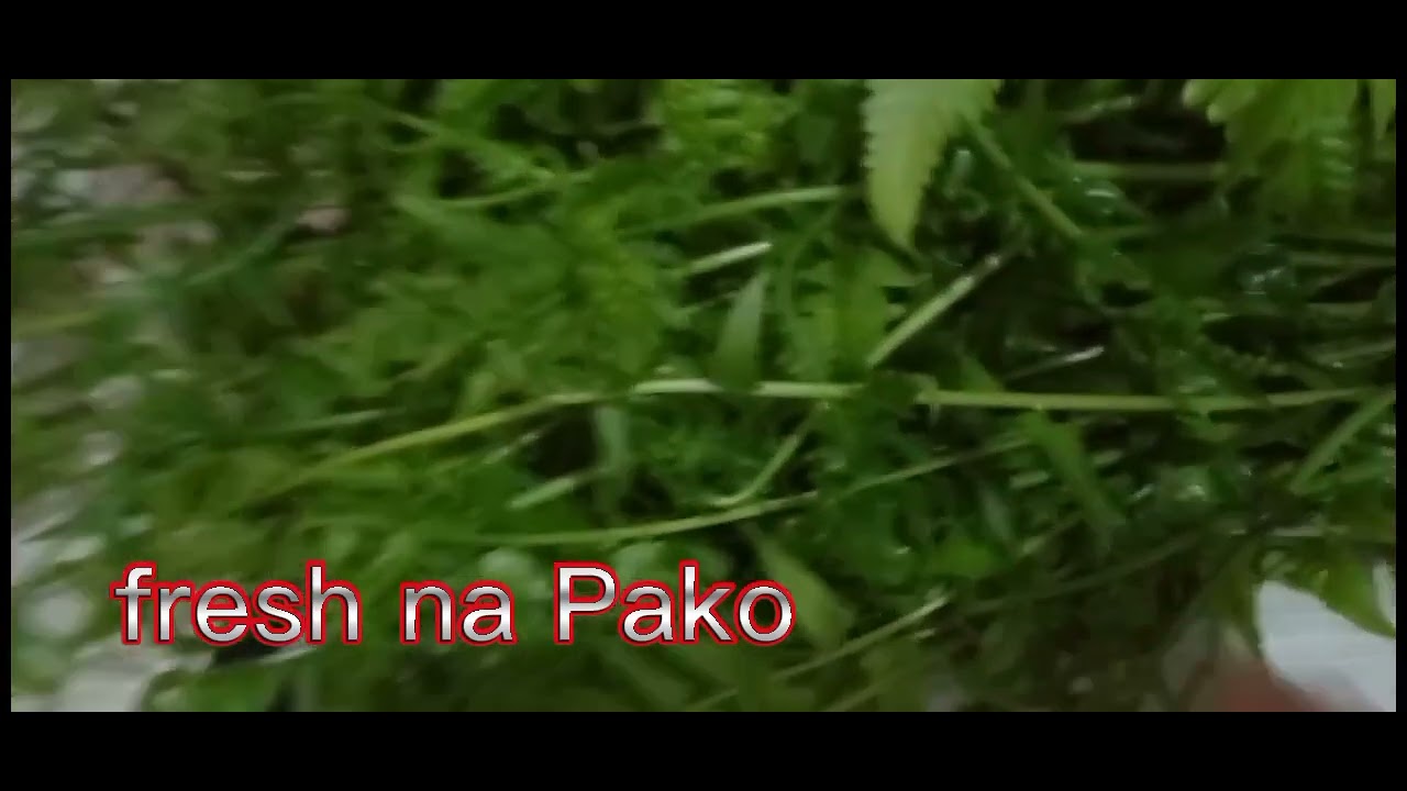 VEGETABLE /PAKO/FRESH PAKO/PAGHIHIMAY/TORTANGPAKO/FRESH NA FRESH/#gulay ...