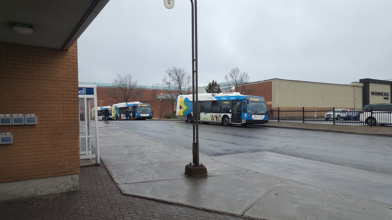 Compilation Of Buses At Terminus Fairview On A Quiet Sunday Morning ...