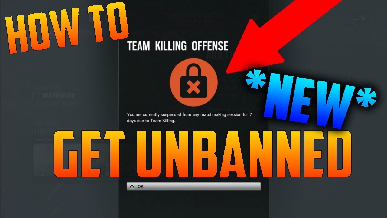 How To Remove Rainbow Six Siege HWID Ban "Permanently Banned From R6 ...