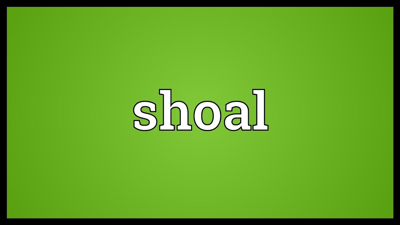 Shoal Definition