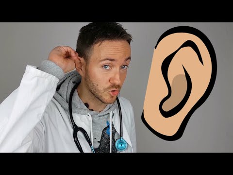 Wie funktioniert das Ohr? für Kinder erklärt