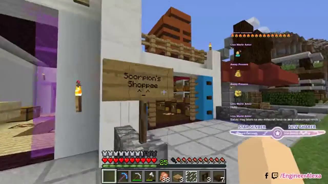 Admire my treasure and visit the imposing house | Minecraft - YouTube