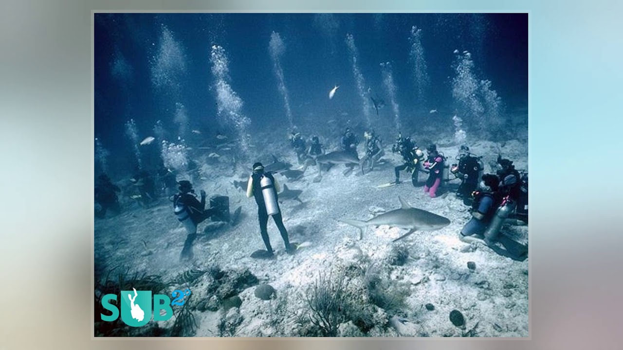 Cay Sal Bank - YouTube