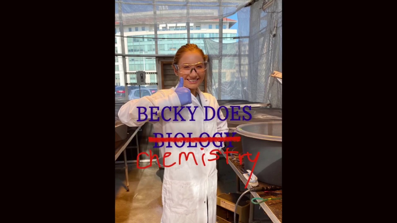Becky Does Chemistry Episode 1: Acid Catalyzed Amide Hydrolysis - YouTube