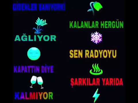 Bulanık Videolar #1