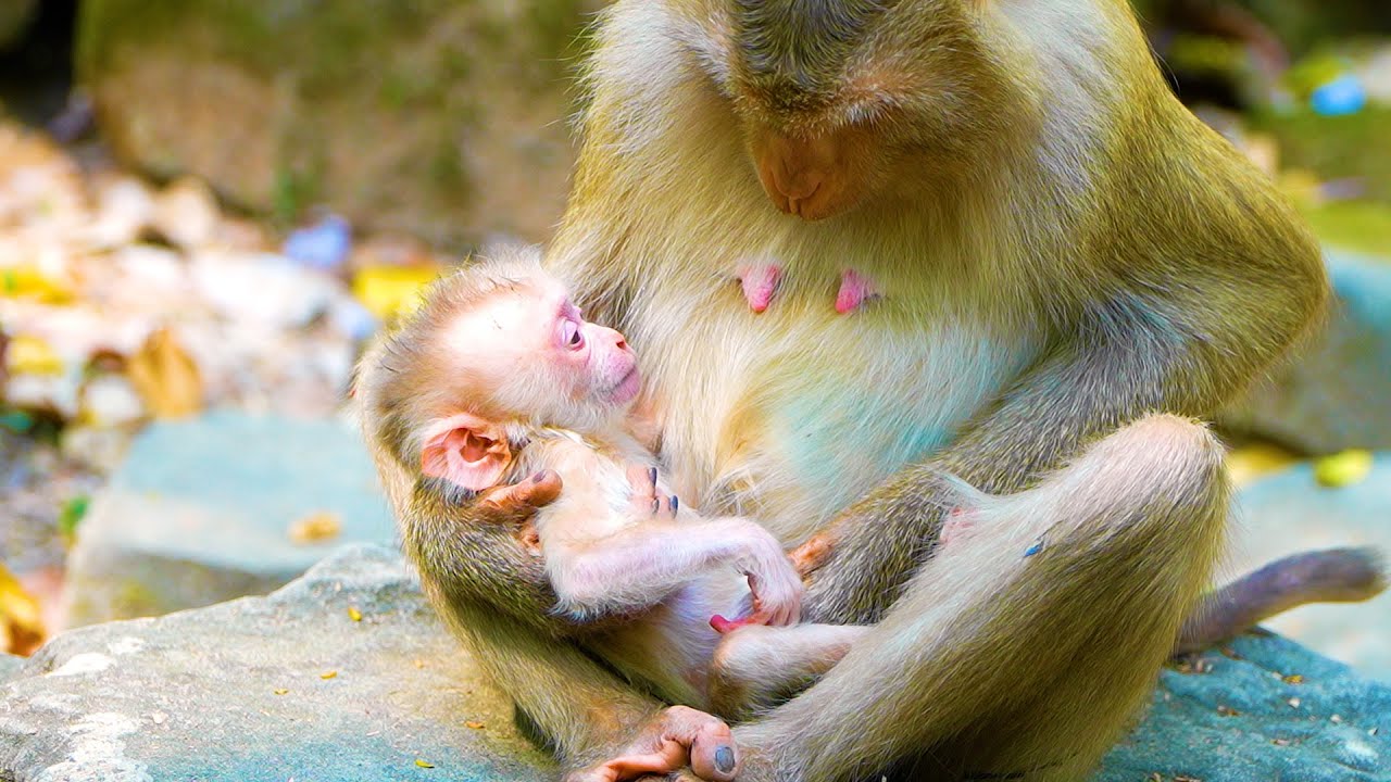 Mom Glad To See Her Newborn Baby In Well Condition, This Is The First ...