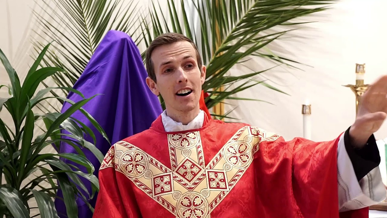 Fr. Cameron Faller's homily, Palm Sunday, 4/5/20 - YouTube