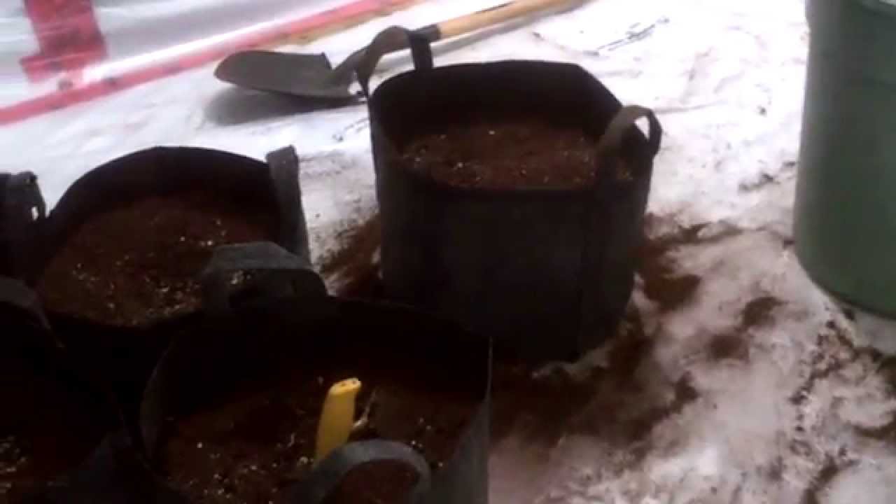 recycling coco part2 - YouTube
