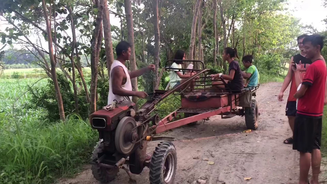 Kuliglig 🦗 - YouTube