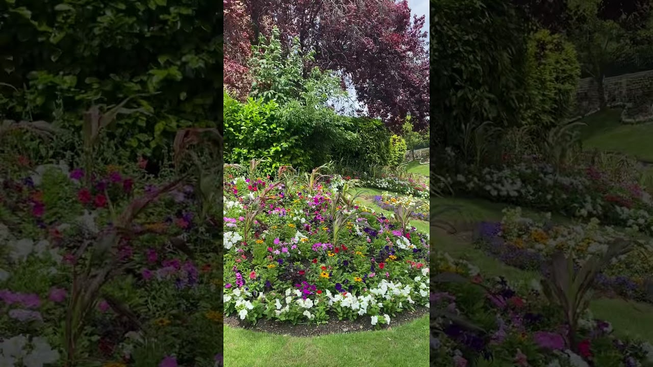 Flowers at Guildford Castle - YouTube