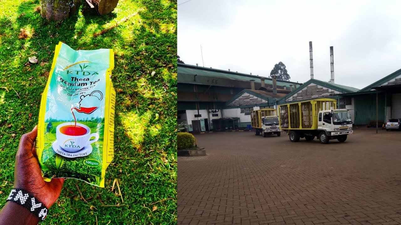 Do You Know They are Special Lorries For Carrying Tea Leaves - YouTube