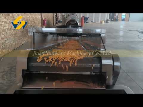 South Africa Corn Curl Making Machine Kurkure/Cheetos/Nik Naks Production Line