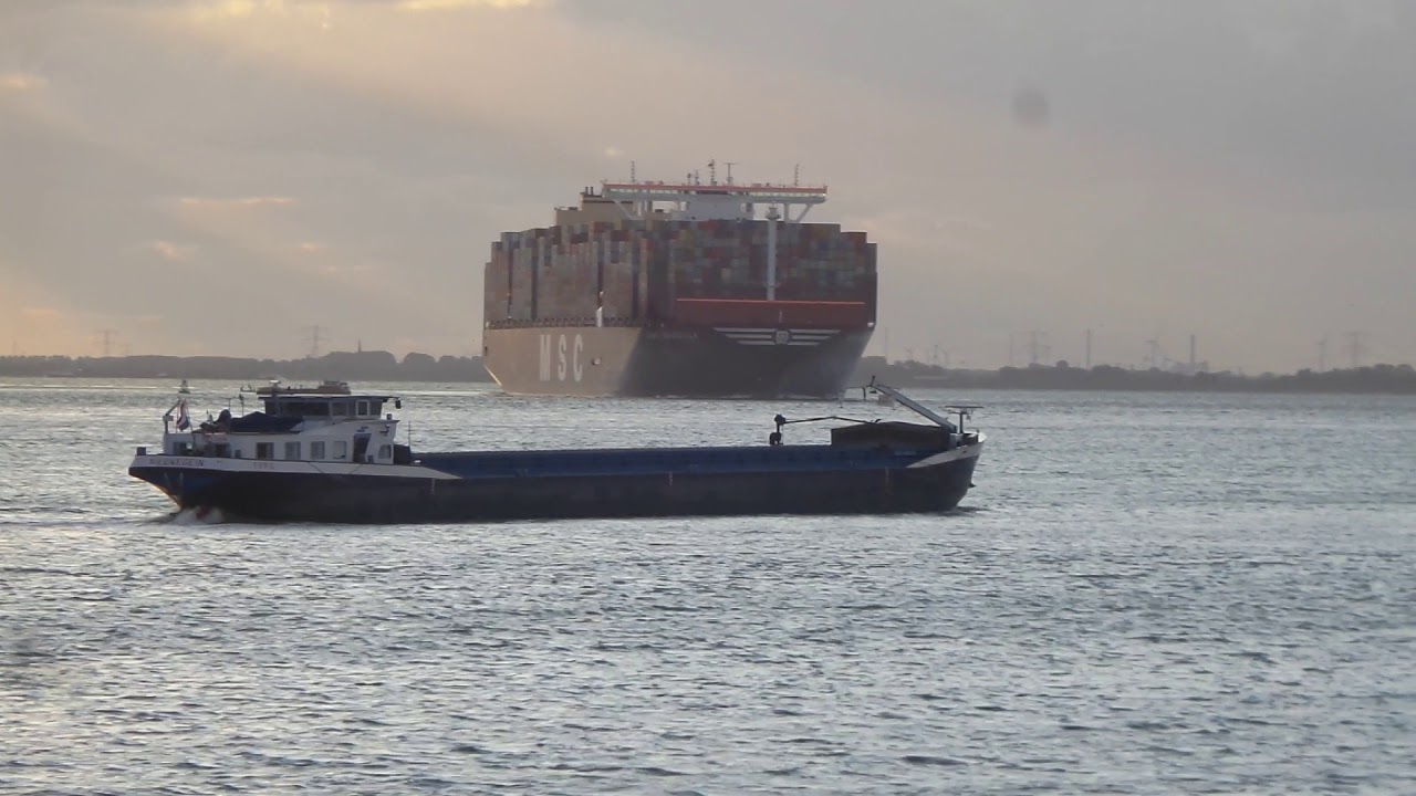 Containerschip MSC ISABELLA - 02-10-2019 - YouTube