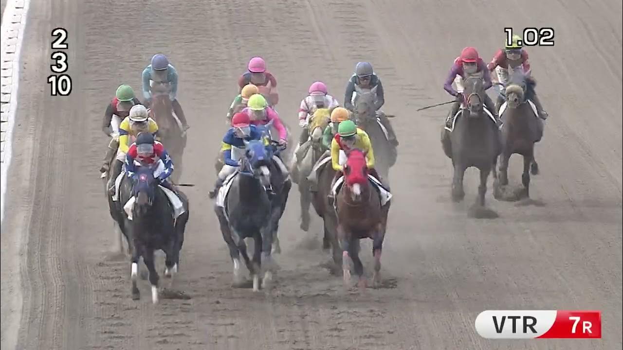 Playback TCK（2023/4/18） - YouTube