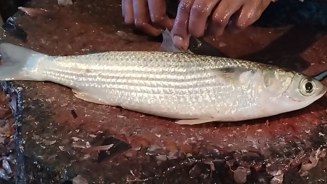Amazing Anji Fish Cutting Skills 🔥 Big Batta Fish Cutting India - YouTube