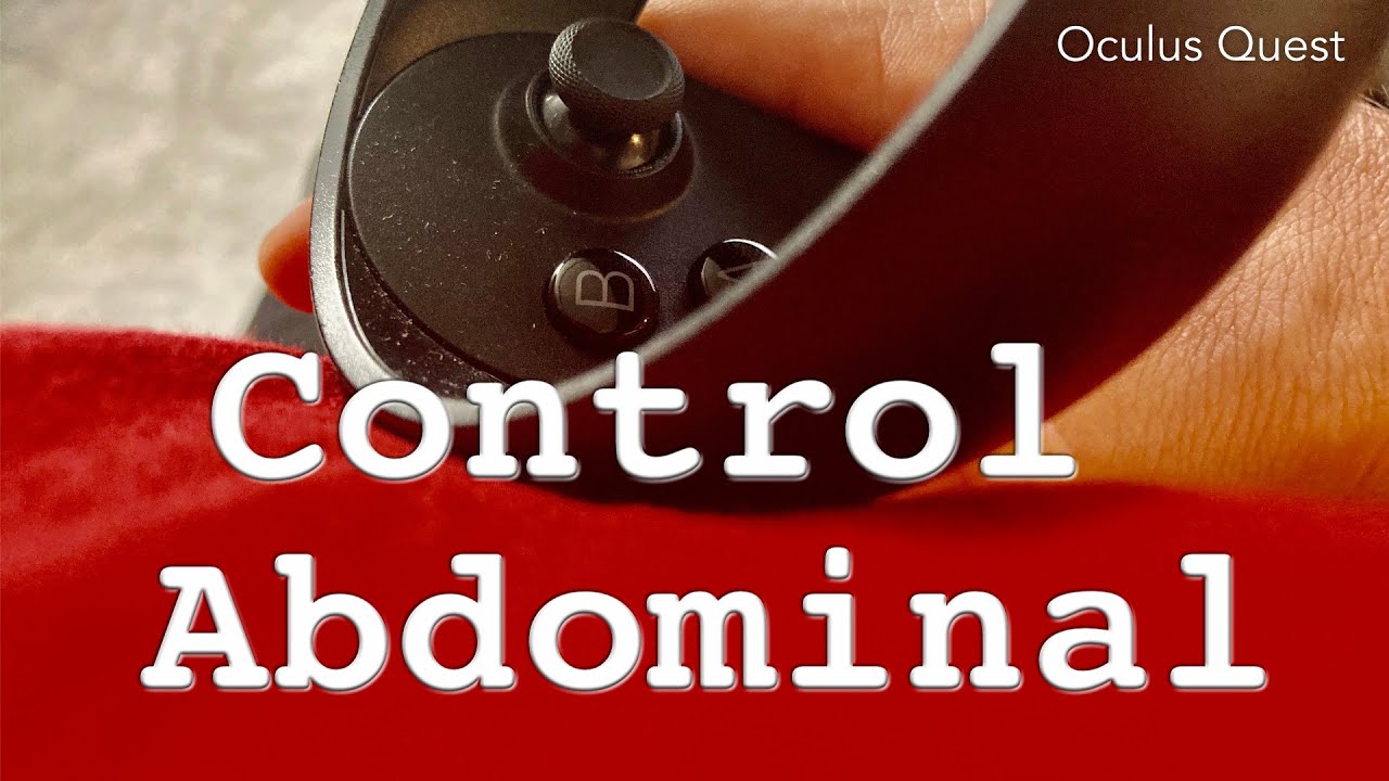 Flowborne Experiencia Vr con innovador Sistema de control por ...