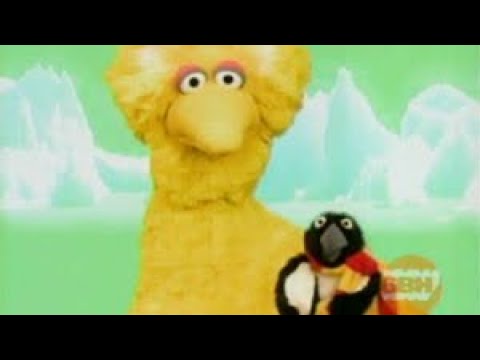 Elmo's World Quizzes - Penguins - YouTube