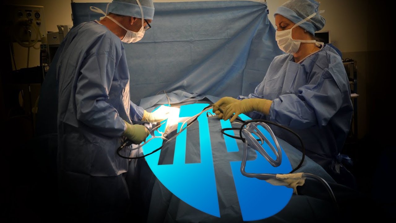 Exploratory HP Laptop Surgery - Finding Water Damage (2022-09-29 @ 11: ...