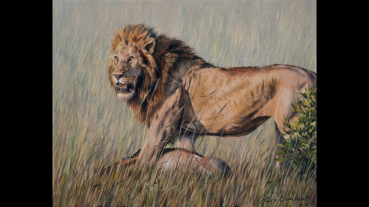 The Spoils - YouTube