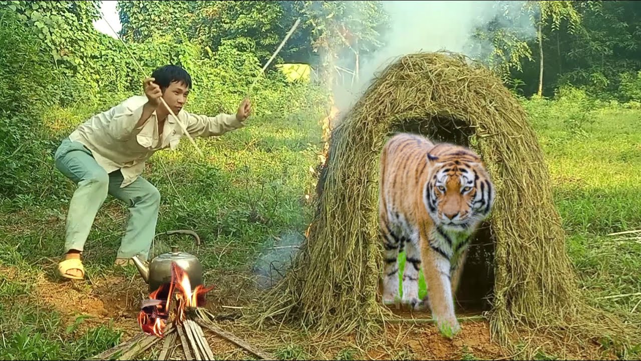 Survive one night in a warm log cabin, two days alone in a grass hut ...