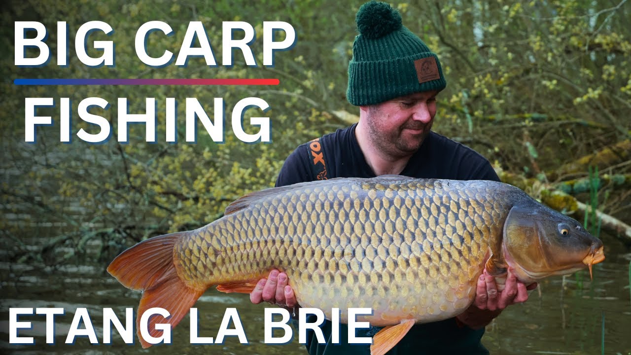 BIG CARP FISHING AT ETANG LA BRIE - YouTube