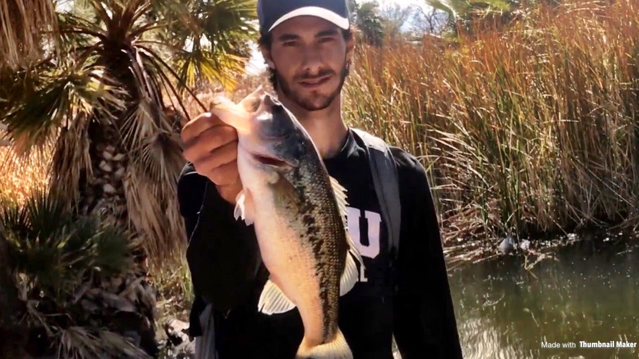 Papago Ponds | URBAN Bed Fishing Bass - YouTube