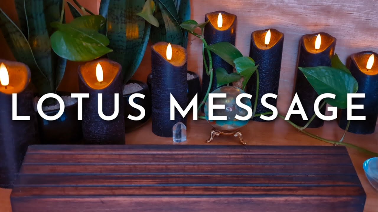 🪷 #LotusMessage Feeling Restricted? Patience Is Needed While Clarity Is ...