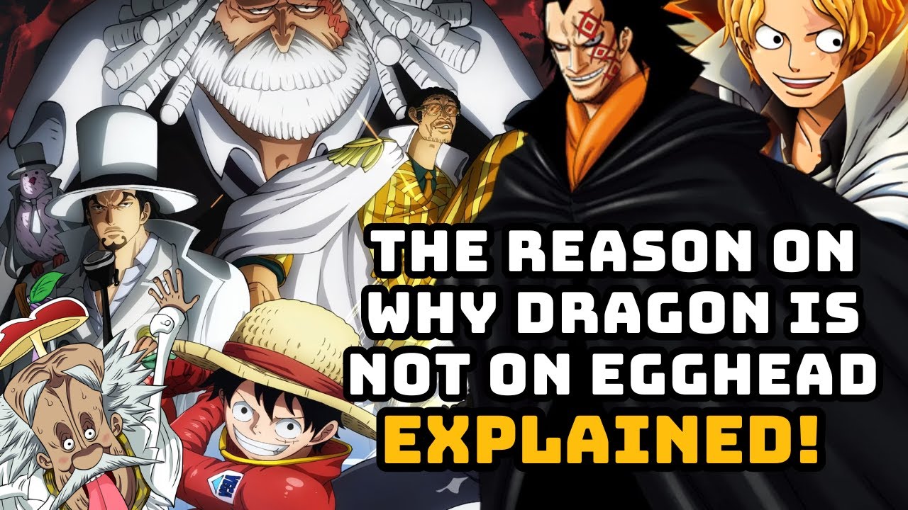 Dragon's Shocking Inaction: The Reason On Why Isn't He at Egghead? (One ...