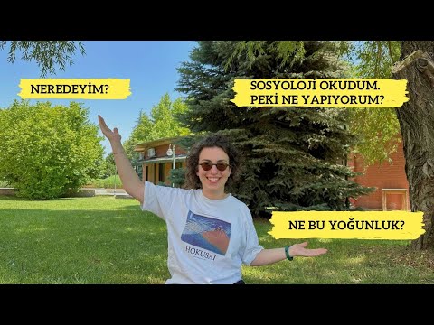 Sosyoloji Bölümünü Bitirdim Şu An Ne Yapıyorum