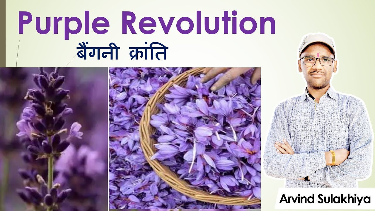 Purple Revolution (बैंगनी क्रांति) | Council of Scientific and ...