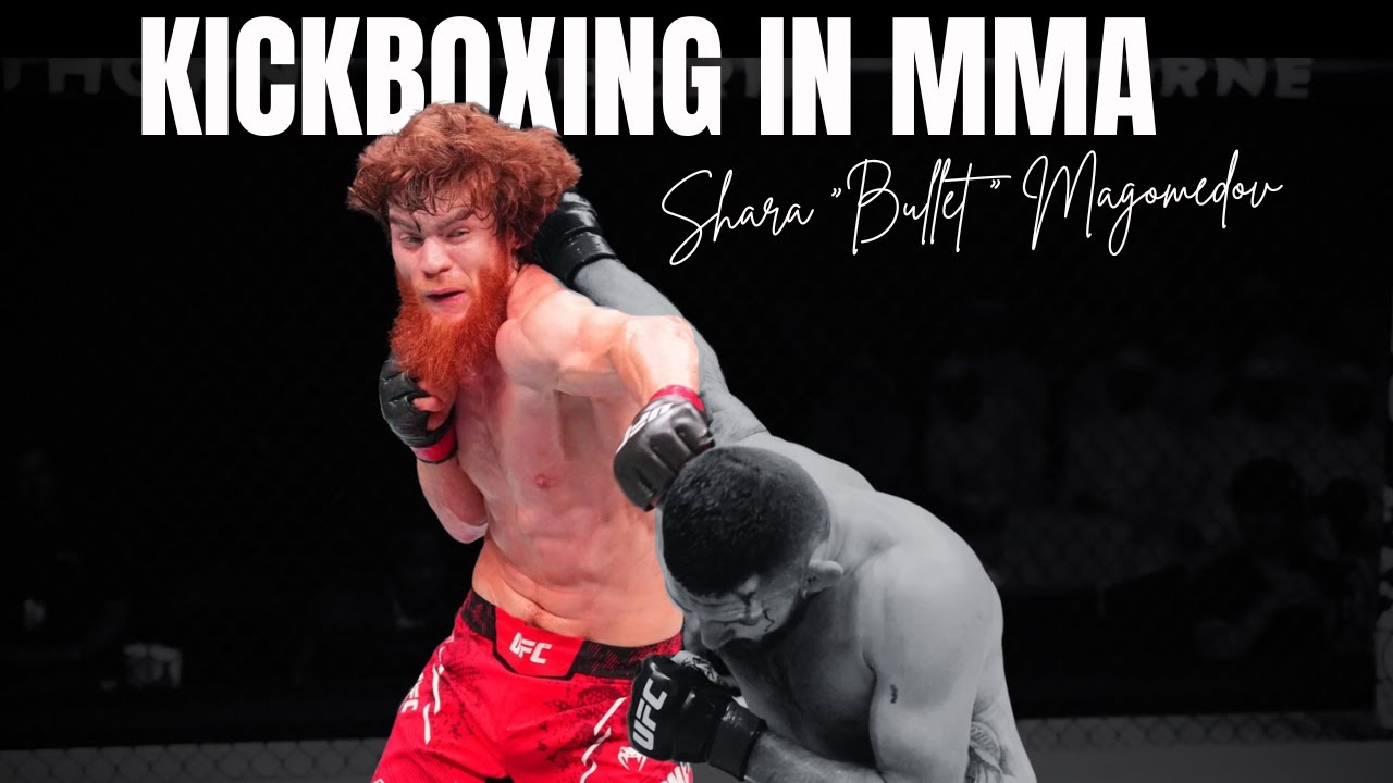 Learn the Kickboxing Style of Shara "Bullet" Magomedov (Pro Striking ...