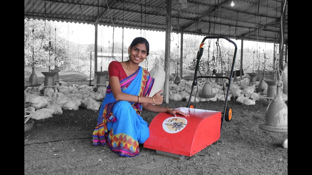 Problem of poultry litter management is solved by new raking method ...